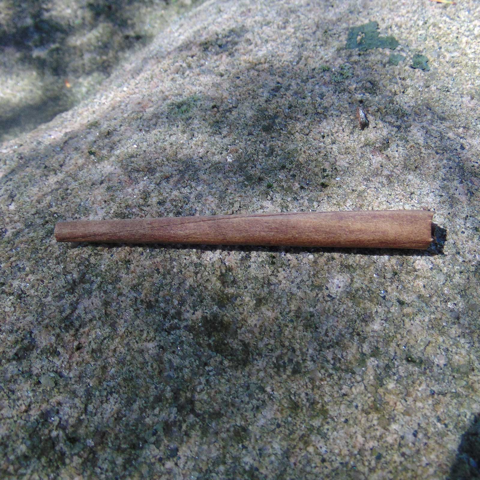 The Loud Plug Benny Blunto Pre-Roll Review