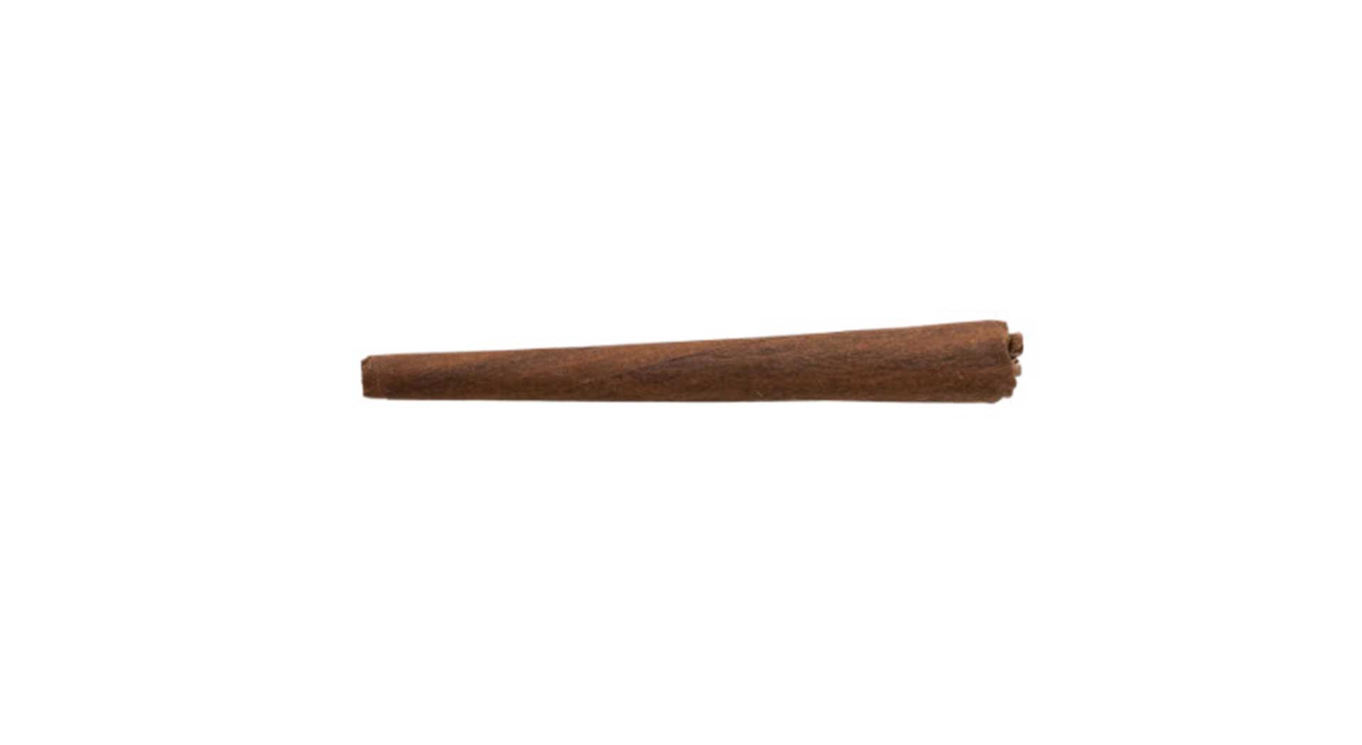 The Loud Plug Benny Blunto Pre-Roll Review
