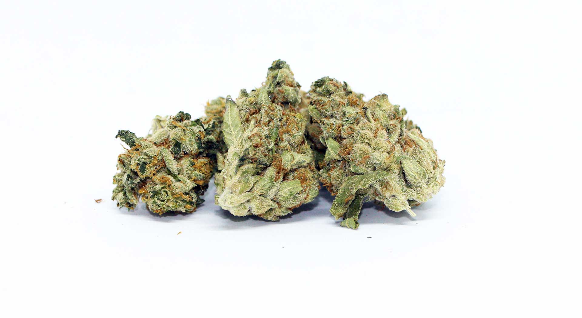 The Green Organic Dutchman TGOD Organic Gold Butter MAC Review